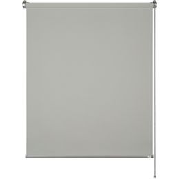 Sch&ouml;ner Wohnen Kollektion Seitenzugrollo, B:120cm H:150cm, grau, SCH&Ouml;NER WOHNEN-KOLLEKTION, Polyester, Rollos, "Tageslichtrollo Tizia"