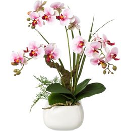 Kunstorchidee Creativ green, B:20cm H:46cm L:20cm, lila, Obermaterial: 95% Polyethylen, 5% Polyester, Kunstpflanzen, "Deko-Orchidee Phalaenopsis im