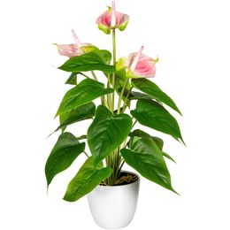 Kunstpflanze my home, B:16cm H:40cm, rosa, Kunststoff, Badezimmer, Kunstpflanzen, "Haune", im Topf