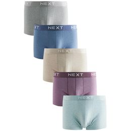 next Boxer shorts male Beige, Blue, Grey, Purple size L