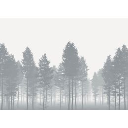 Vliestapete Komar "Digitaldruck Vlies - Nebula - Größe 350 x 250 cm", grau (grau, schwarz), B:350m L:250m, Vlies, Tapeten, Wohnzimmer, Schlafzimmer