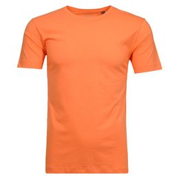 Ragman T-Shirt Aprikose-052 S S Rundhals