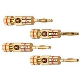 Oehlbach 3002 Lautsprecher-Steckverbinder Stecker, gerade Polzahl: 2 Gold 4 St.