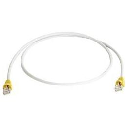 Teleg&auml;rtner RJ45 (gekreuzt) Netzwerk Anschlusskabel CAT 6a S/FTP 1.00 m Grau Flammwidrig, mit Rastnasenschutz