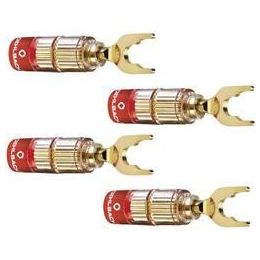 Oehlbach 3023 Lautsprecher-Steckverbinder Stecker, gerade Gold 4 St.