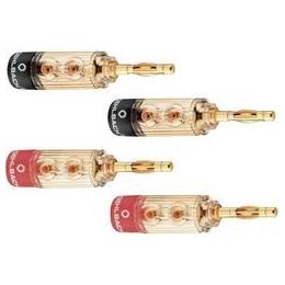 Oehlbach 3030 Lautsprecher-Steckverbinder Stecker, gerade Gold, Rot, Schwarz 4 St.