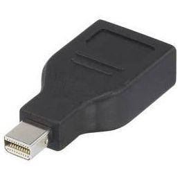 Renkforce RF-4174572 DisplayPort Adapter [1x Mini-DisplayPort Stecker - 1x DisplayPort Buchse] Schwarz vergoldete Steckkontakte