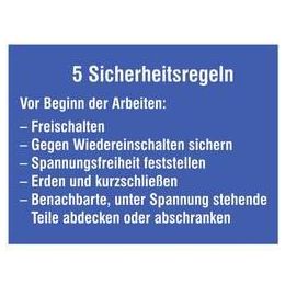 SafetyMarking 43.1311 Hinweisschild Sicherheitsregeln Kunststoff (B x H) 200 mm x 120 mm 1 St.