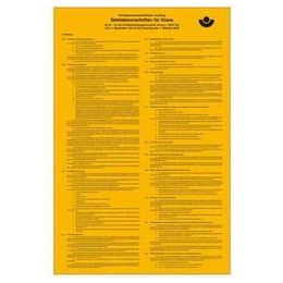 SafetyMarking 21.2936 Aushang Berufsgenossenschaft Betriebsvorschriften f&uuml;r Krane Folie selbstklebend (B x H) 310 mm x 475 mm 1 St.