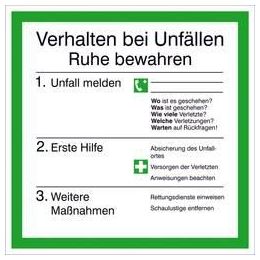 SafetyMarking 43.0048 Hinweisschild Verhalten bei Unf&auml;llen Kunststoff (B x H) 200 mm x 200 mm 1 St.