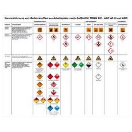 SafetyMarking 43.B2070 Hinweisschild Kennzeichnung von Gefahrstoffen am Arbeitsplatz nach TRGS 201, ASR A1.3 und ADR Kunststoff (B x H) 600 mm x 480 mm 1 St.