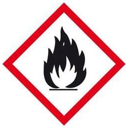 SafetyMarking 21.B1013 GHS-Gefahrenpiktogramm 02 Flamme Folie selbstklebend (B x H) 100 mm x 100 mm 1 St.