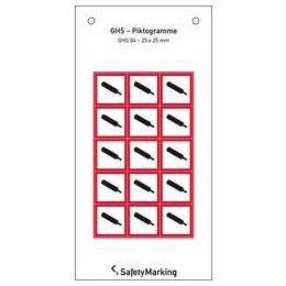 SafetyMarking 30.B1022 GHS-Gefahrenpiktogramm 04 Gasflasche Folie selbstklebend (B x H) 25 mm x 25 mm 15 St.