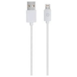 RealPower USB-Kabel USB 2.0 USB-A Stecker, Apple Lightning Stecker 1.00 m Wei&szlig; 255649