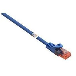 Renkforce RF-5044024 RJ45 Netzwerkkabel, Patchkabel CAT 6 U/UTP 0.50 m Blau mit Rastnasenschutz, Halogenfrei 1 St.