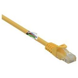 Renkforce RF-5224648 RJ45 Netzwerkkabel, Patchkabel CAT 5e U/UTP 0.15 m Gelb mit Rastnasenschutz, Halogenfrei 1 St.