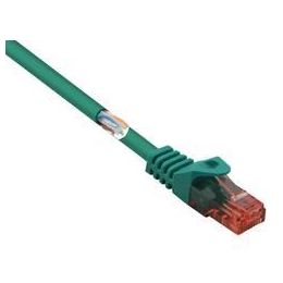 Renkforce RF-5245792 RJ45 Netzwerkkabel, Patchkabel CAT 6 U/UTP 2.00 m Gr&uuml;n Halogenfrei 1 St.