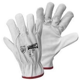 Leipold Doehle 1606-9 DRIVER GLOVE Rindnarbenleder Arbeitshandschuh Gr&ouml;&szlig;e (Handschuhe): 9, L EN 388 CAT II 1 Paar