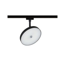 Paulmann Schienensystem-Leuchten "URail Schienenspot Hildor 850lm 15W 3000K 230V Chrom matt", B:7,1cm H:22,5cm &Oslash;:16,2cm, schwarz,