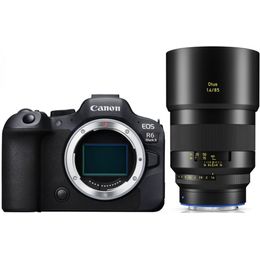 Canon EOS R6 II + ZEISS Otus ML 85mm f1,4