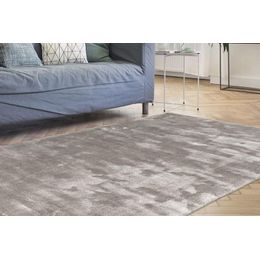 Teppich Padiro, B:160cm H:12mm L:230cm, silber, Bambus, Wohnzimmer, Teppiche, "Village 125"