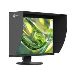 EIZO CG2400S ColorEdge, LED-Monitor 61.1 cm (24.1 Zoll), schwarz, WUXGA, IPS, USB-C, USB-Hub, KVM-Switch