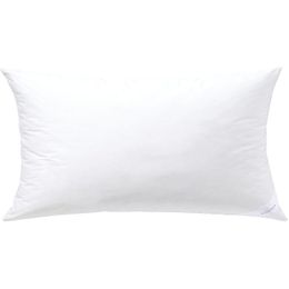 Microfaserkissen Billerbeck "Liliane,, Kissen ist allergikerfreundlich (Hausstauballergiker)", weiß, B:40cm L:80cm, Füllung: 100% Polyester, Kopfkissen, Faserkissen mit hydrophil ausgerüstetem Baumwollbezug