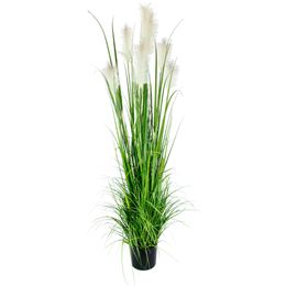 Kunstgras I.GE.A. "Pampasgras", weiß, B:45cm H:180cm, Obermaterial: 80% Kunststoff, 20% Polyester, Kunstpflanzen, im Kunststofftopf
