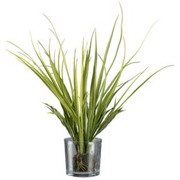 Kunstgras Creativ green "Wiesengras im Ballen und mit Glas", grün, H:50cm, Obermaterial: 100% Polyethylen, Kunstpflanzen
