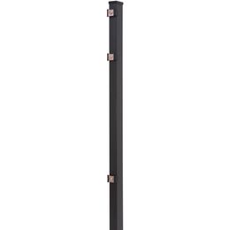Zaunpfosten Peddy Shield, grau (anthrazit), B:4cm H:120cm T:4cm, Stahl, Zaunpfosten, 120 cm Höhe, für Ein- und Doppelstabmatten