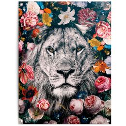 Poster Reinders "Löwe", bunt (farbe bild(er): bunt), B:60cm H:80cm T:0,1cm, Leinwand, Bilder