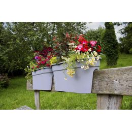 Balkonkasten KHW "Flowerclip XXL", grau (granitgrau), B:57,5cm H:27cm T:27,7cm, Kunststoff, Polypropylen, Pflanzgefäße, BxTxH: 57,5x27,7x27 cm