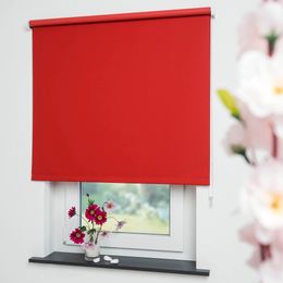 Seitenzugrollo Liedeco "Uni" Gr. 3, rot, B:92cm H:180cm, Polyester, Rollos, Seitenzugrollo