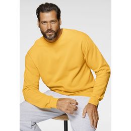 Sweatshirt Fruit of the Loom, Herren, Gr. L (52/54), gelb (sonnengelb), angeraute Sweatware, Obermaterial: 80% Baumwolle, 20% Polyester, schmal h&uuml;ftlang, Rundhals, Rippb&uuml;ndchen, Sweatshirts Sweatshirt, im unifarbenen Design