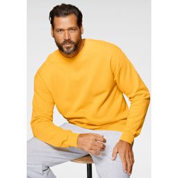 Sweatshirt Fruit of the Loom, Herren, Gr. XL (56/58), gelb (sonnengelb), angeraute Sweatware, Obermaterial: 80% Baumwolle, 20% Polyester, schmal hüftlang, Rundhals, Rippbündchen, Sweatshirts, im unifarbenen Design