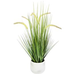 Kunstpflanze I.GE.A. "Fuchsschwanzgras", grün, B:28cm H:67cm L:28cm, Kunstpflanzen, Mit Übertopf Kunstgras Deko Borstenhirse Panicoideae Süßgräser Setaria