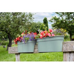 Balkonkasten KHW "Flowerclip XXL", grün (pastellgrün), B:57,5cm H:27cm T:27,7cm, Kunststoff, Polypropylen, Pflanzgefäße, BxTxH: 57,5x27,7x27 cm