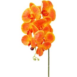 Kunstorchidee Creativ green, H:76cm, orange, Kunstpflanzen, "Orchidee Phalaenopsis", mit real-touch-Blüten