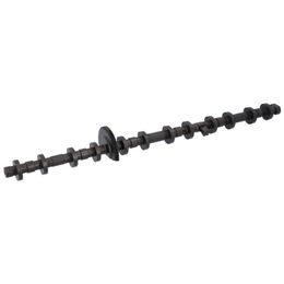 febi bilstein Exzenterwelle, Nockenwellenverstellung für BMW 11377589883 184958