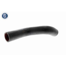 VAICO Ladeluftschlauch Q+, Erstausrüsterqualität für RENAULT 8200760281 8200760281part V46-0743