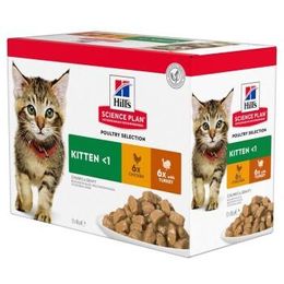 Hill's Hill's Science Plan Kitten Multipack Truthahn und Huhn 24x85 g