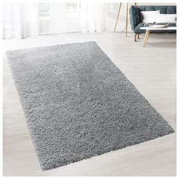 Floordirekt Shaggy-Teppich Prestige Silbergrau