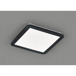 RL LIVE YOUR LIGHT REALITY CAMILLUS - Deckenleuchte - Schwarz matt - inkl. 1x SMD 16 W - Dimmbar mit Schalter - Nicht geeignet für externen Dimmer - Wand- und Deckenmontage - Badezimmerbeleuchtung