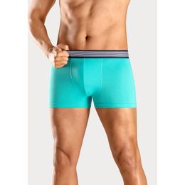 H.I.S. Boxer