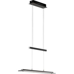Fischer & Honsel Tenso TW LED Pendelleuchte 21,4W Tunable white steuerbar dimmbar Glas rauchfarben teilsatiniert sandschwarz 60992