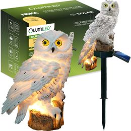 LUMILED Solar Eule Gartenleuchte 42 cm, weiße Eule Gartenstecker Rasenlampe, 3000K IP44 Gartendeko, Dekorative Wasserdichte Solarleuchte Außen, Deko Solarlampe für Blumentopf, Rasen, Garten, Hof, Balkon, Wege