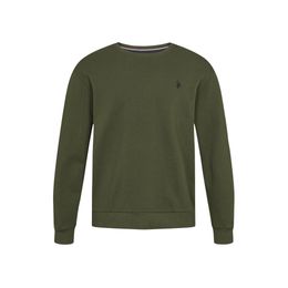 U.S. Polo Assn. Sweatshirt 'Adler' male Green size L