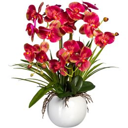 Kunstorchidee Creativ green "Phalaenopsis", beige (creme, pink), H:58cm, Obermaterial: 90% Kunststoff, 10% Polyester, Kunstpflanzen, im Keramiktopf