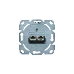 Telegärtner Telegärtner Modulaufnahme AMJ-S 2fach UP/0flex Cat6A T568B 100022965)