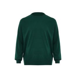Sloan Pullover Herren Gr&ouml;&szlig;e L/XL dunkelgr&uuml;n